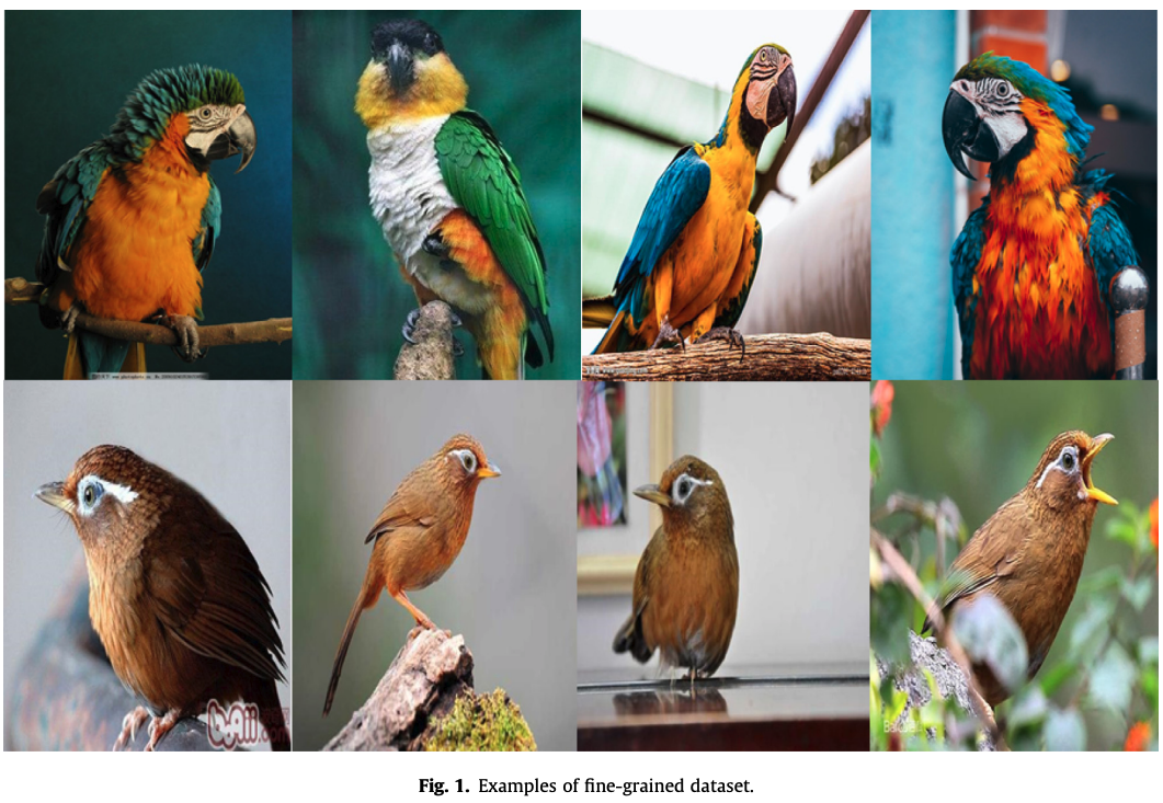 Elements of Deep Learning